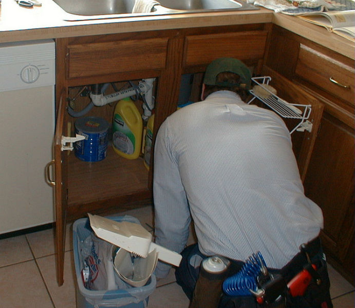 Pest Control Problems - EZHERO Home Improvement Tips